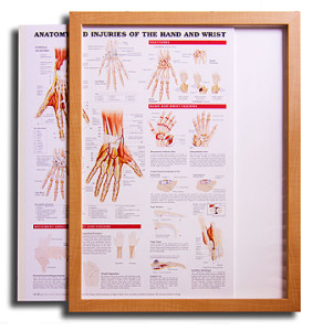 FRAMECO Health Care | Quality Custom Picture Framing | San Diego | FRAMECO